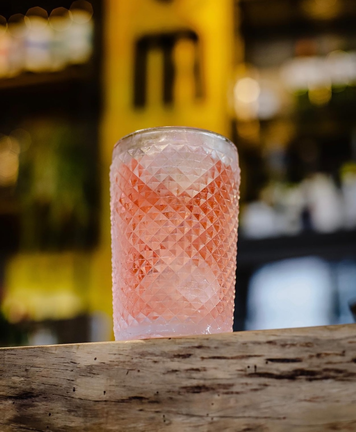 Vier World Paloma Day bij Botanero in Rotterdam - Villa d'Arte